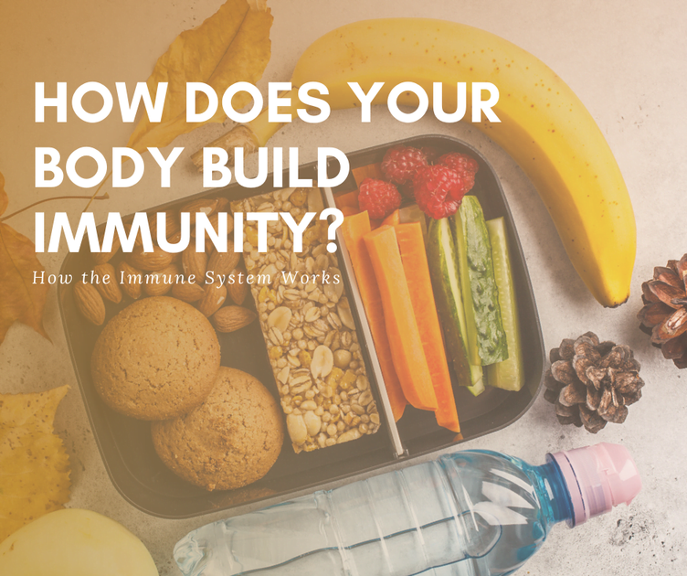 How Does Your Body Build Immunity | How the Immune System Works ...